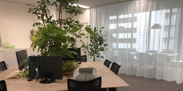 採用情報 | 株式会社 BeForward